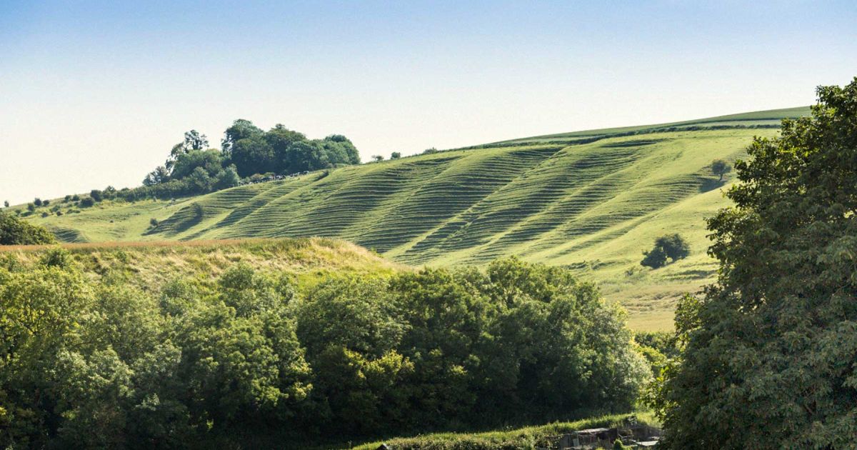 Land Case Studies | Redcliffe Homes